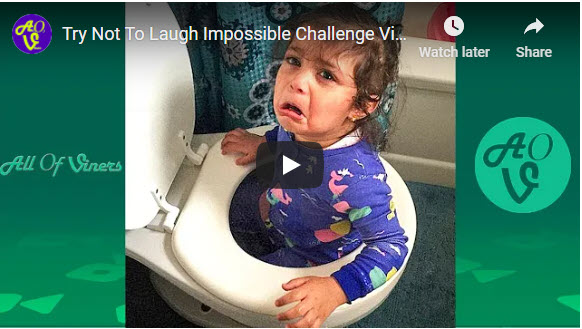 Funniest Tik Tok Videos of 2020 | poopheadvideos.com